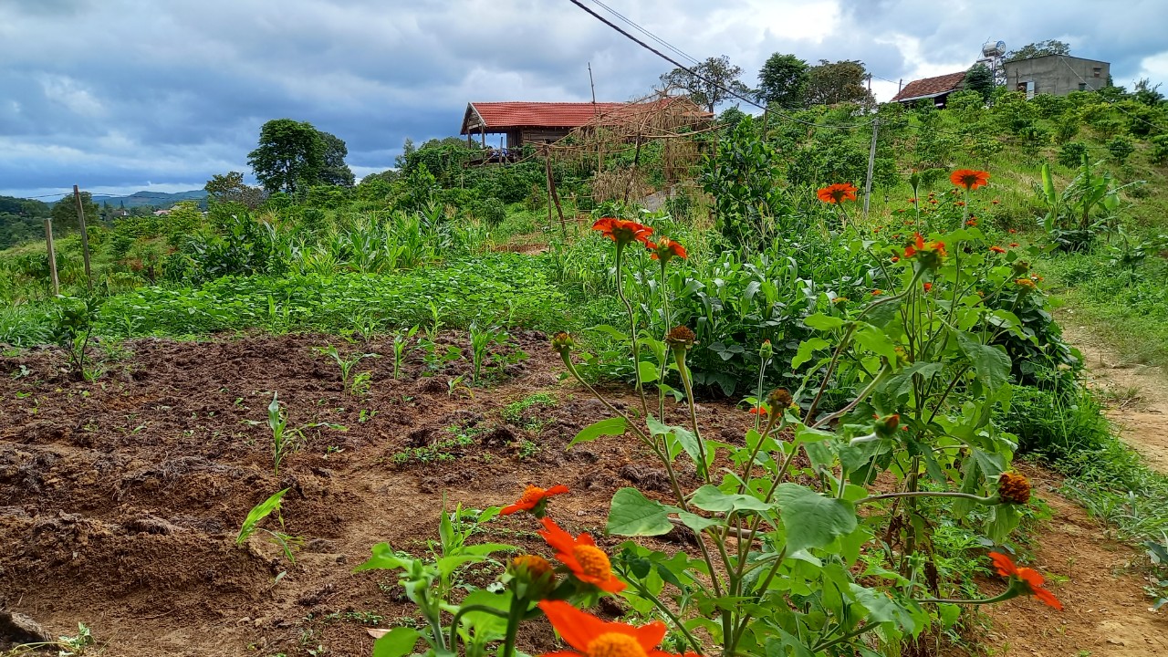 Deep Pipe Irrigation - Pan Gaia Permaculture
